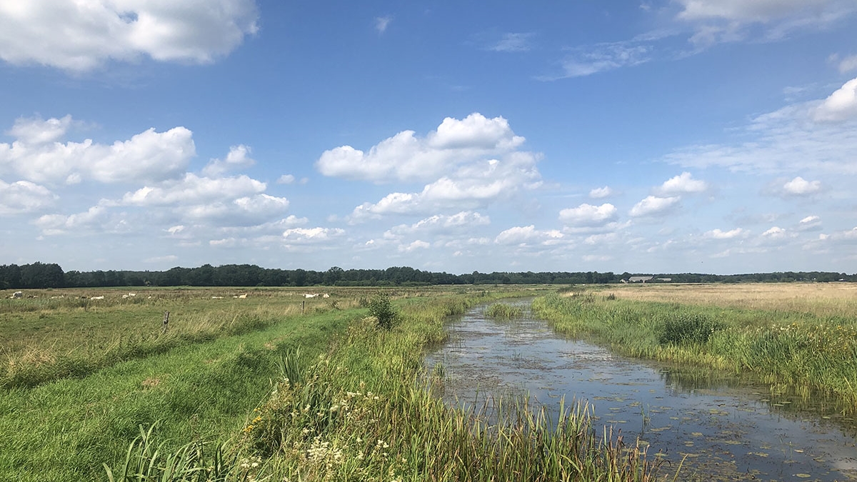 Voorbereidingen voor project Middenloop Vledder Aa fase 2 | Prolander